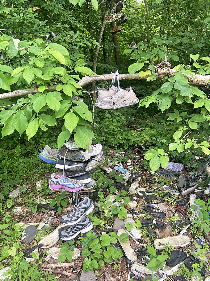 Even the forest floor participates in the footwear phenomenon, with fallen shoes creating an unusual carpet beneath the main attraction.