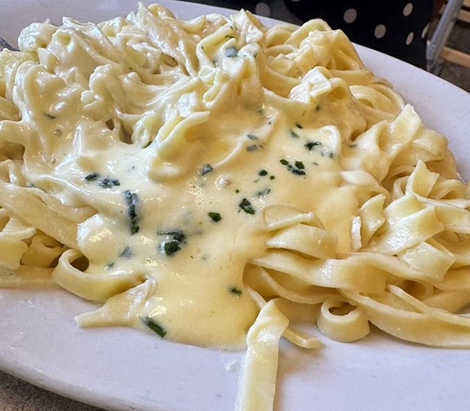 Fettuccine Alfredo so creamy it should come with its own cardiologist's business card &ndash; but some pleasures are worth the extra treadmill time.