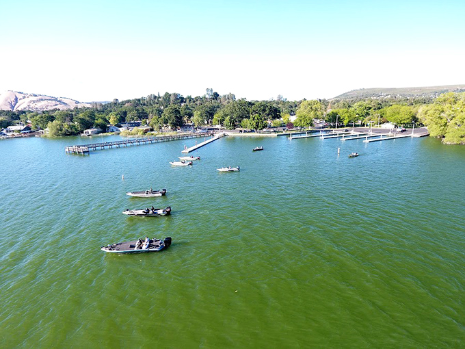 Bass boats line up like eager contestants at a talent show. These fishing enthusiasts know Clear Lake's reputation as a bass fishing paradise.