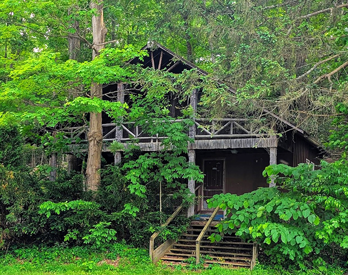 This rustic forest cabin looks like it was plucked straight from a fairy tale, though hopefully without the wolves or witches with candy issues.