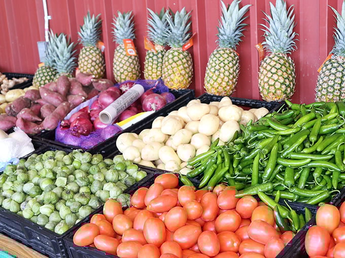 Nature's color palette on full display. These aren't just fruits and vegetables&mdash;they're ingredients waiting to star in your next homemade salsa masterpiece.