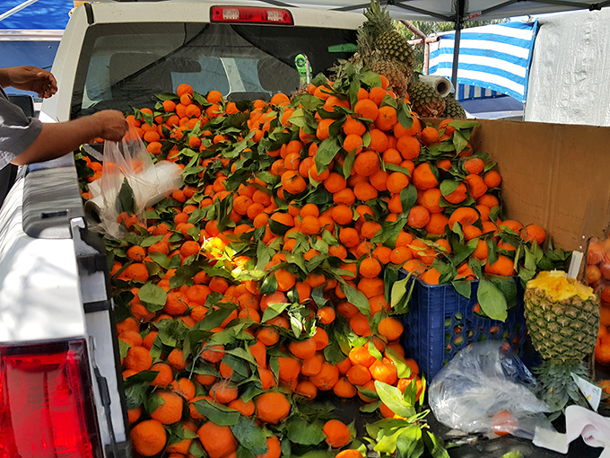 Nature's candy spilling from a pickup truck. These tangerines didn't travel far from grove to market&mdash;freshness you can see and taste.