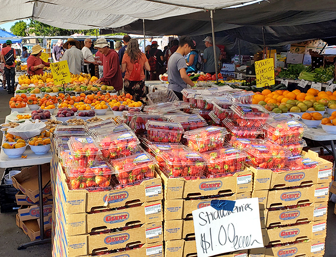Nature's candy displayed with pride &ndash; these strawberries didn't travel across continents to reach you, and your taste buds will thank you.
