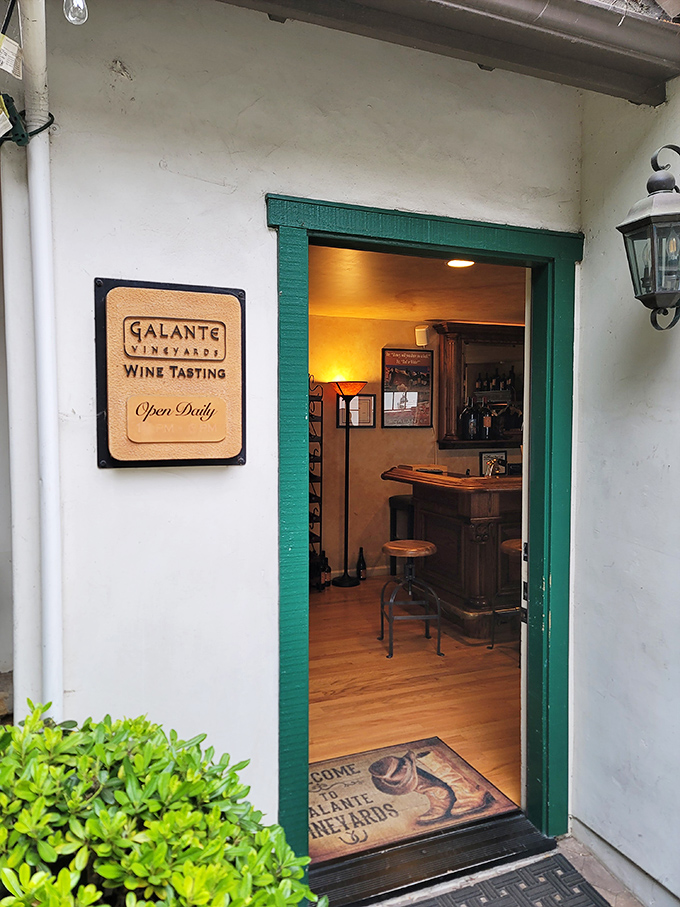 Step into Galante Vineyards' tasting room, where California wine country charm comes bottled with a side of Carmel hospitality.
