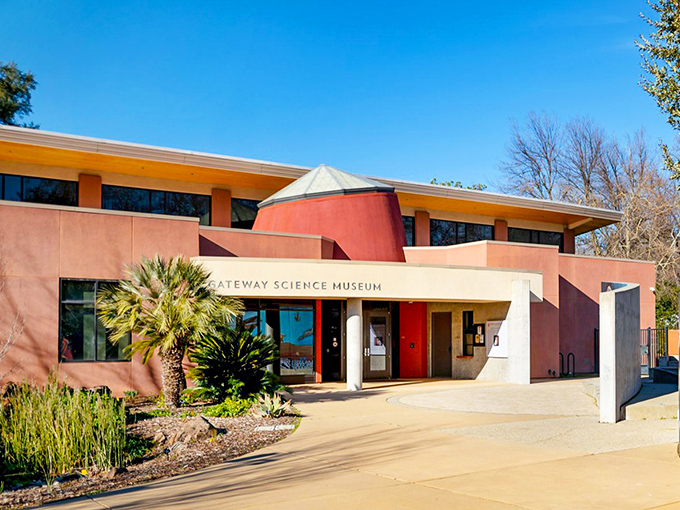 The Gateway Science Museum's modern design proves Chico embraces both heritage and innovation, offering intellectual stimulation that keeps retirement brains as active as weekend hikers.
