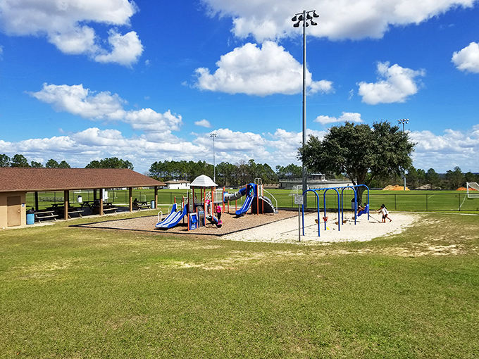 Hancock Park proves that family fun doesn't need admission tickets. Simple pleasures like slides and swings under Florida's impossibly blue skies.