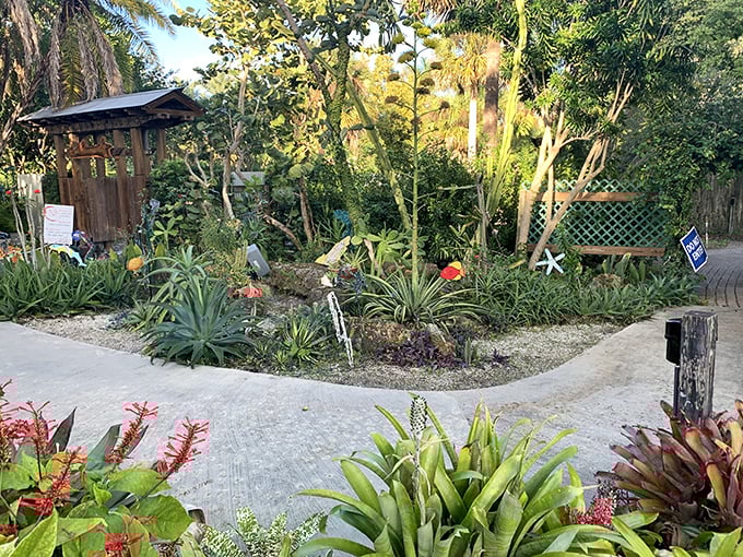 Heathcote Botanical Gardens offers a tropical sanctuary where Florida's natural beauty takes center stage. A living museum without admission sticker shock.