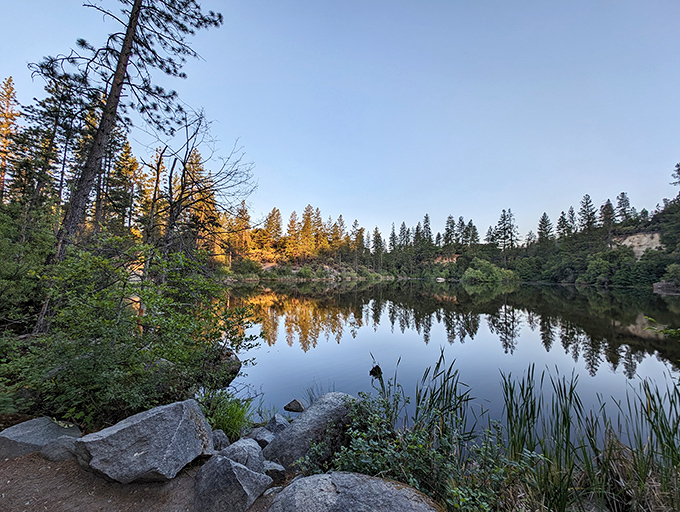 Hirschman's Pond mirrors the surrounding forest like nature's own Instagram filter. This tranquil spot rewards hikers with reflections worth contemplating.