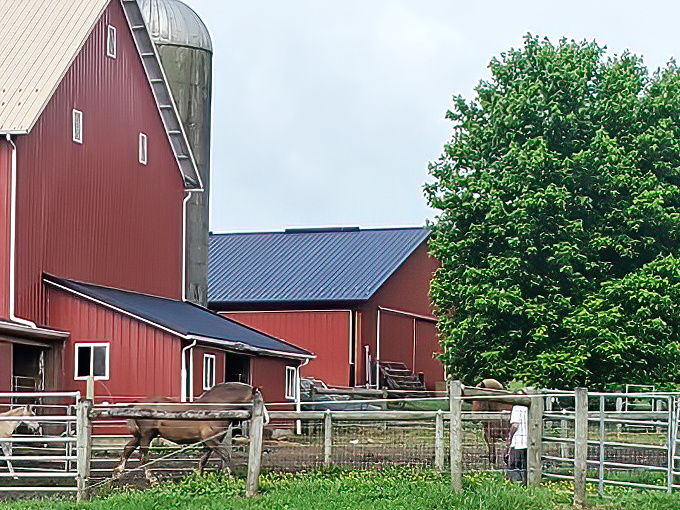 Classic red barns and well-tended livestock remind visitors that farming isn't just an occupation in Amish Country&mdash;it's a way of life.