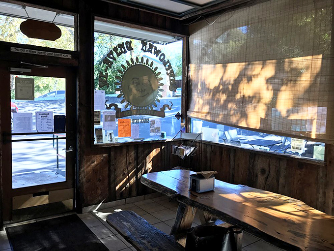 Sunlight dapples through the windows, creating nature's spotlight on rustic wooden tables. Even empty, this space feels full of stories.