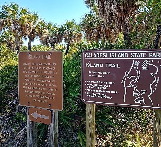 Educational signs that somehow make learning fun again, like school should have been but wasn't.