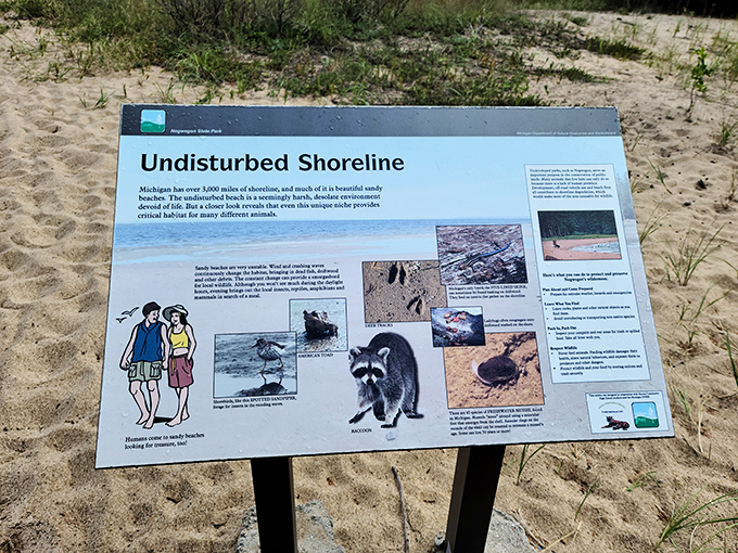 "Undisturbed Shoreline" isn't just a sign&mdash;it's a promise. This beach hasn't changed much since the glaciers retreated, and that's exactly the point.