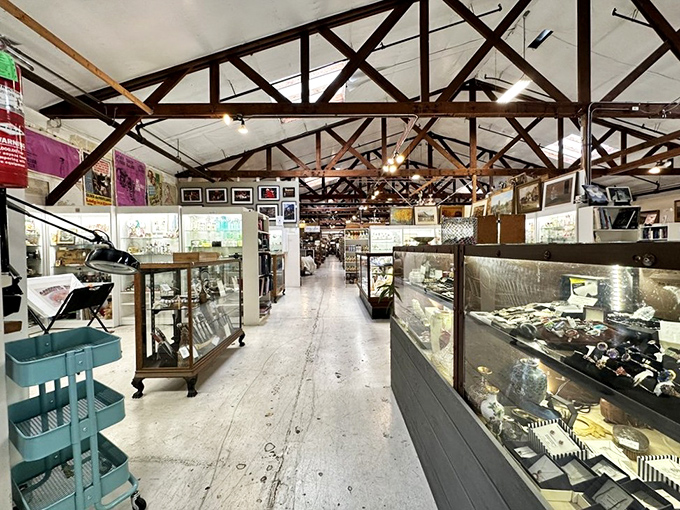 Display cases glimmer with the promise of hidden gems. The white floors reflect decades of treasures waiting for their second act.