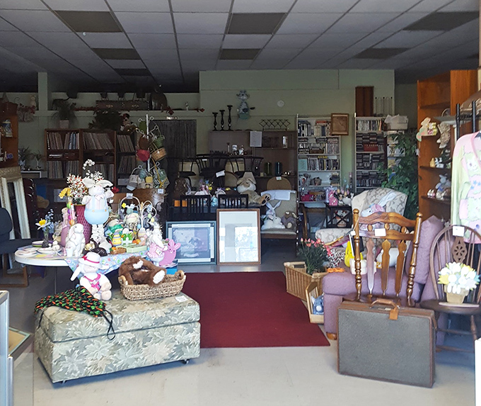 A cozy corner that feels like your eccentric aunt's living room, if your aunt had impeccable taste and a penchant for collecting.