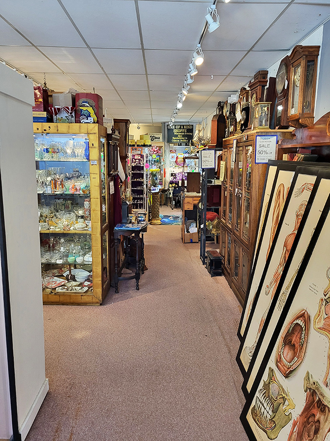 Narrow pathways lead to wide-eyed wonder. Every turn reveals another era, another collection, another reason your car trunk will be full. 