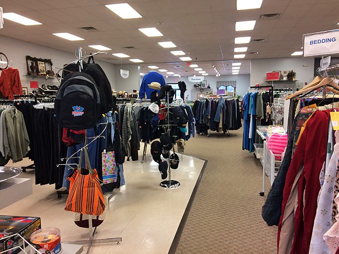 The thrifter's golden rule: come for a coffee table, leave with three lamps and a typewriter you didn't know you needed.