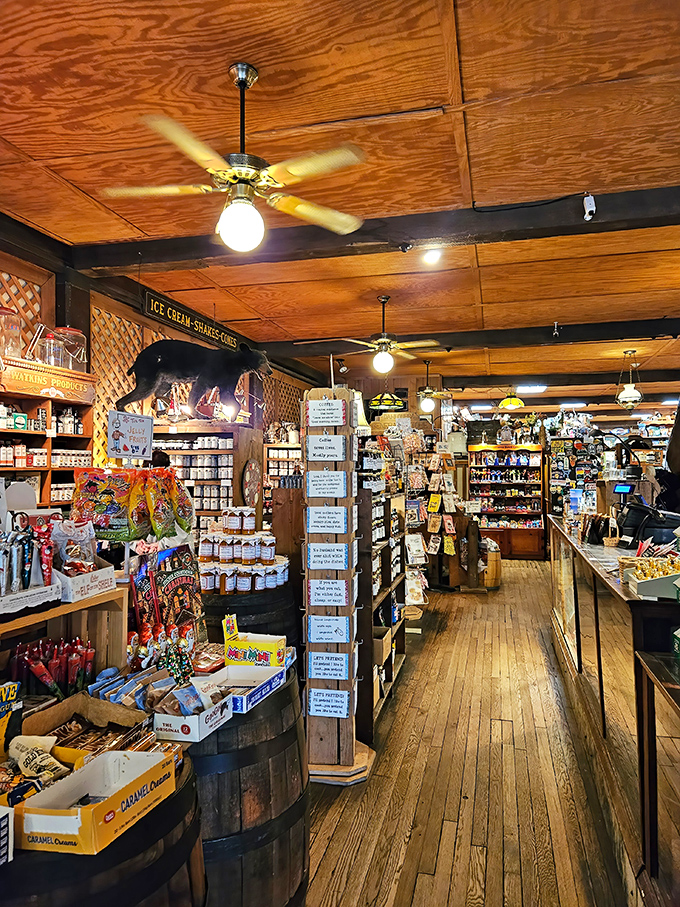 Wooden floors and rustic charm create the perfect backdrop for serious treasure hunting and impulse buying.