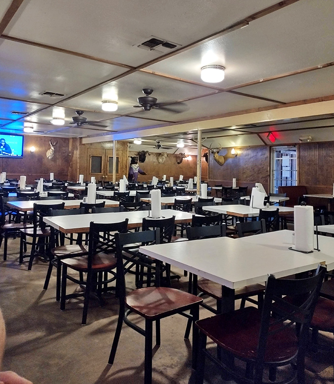 The dining room waits patiently for the lunch rush, tables standing at attention like soldiers ready for delicious duty.