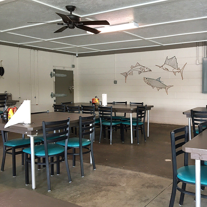 Minimalist nautical charm with fish illustrations that seem to say, "Your dinner? Yeah, we know them personally."