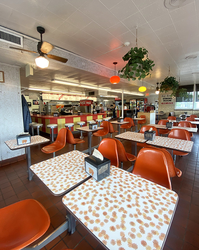 The dining room at Speck's feels like a community living room where strangers become neighbors over the shared language of "mmm" and "pass the napkins."