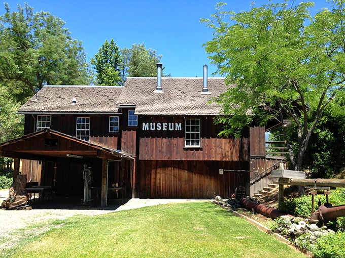 Local museums preserve regional heritage with artifacts that tell stories textbooks could never capture properly.