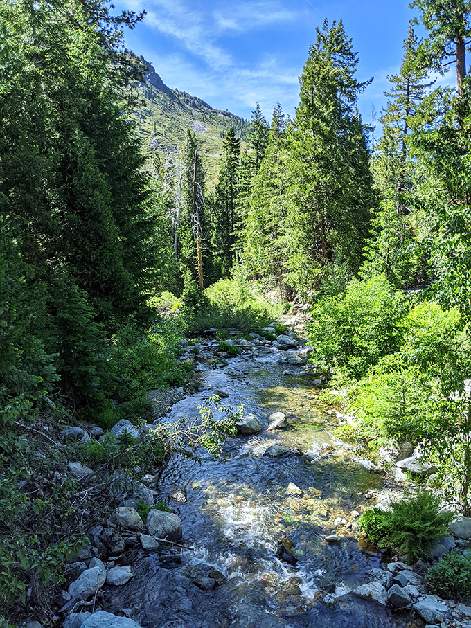 Jamison Creek provides nature's soundtrack, better than any meditation app you've downloaded and forgotten about.