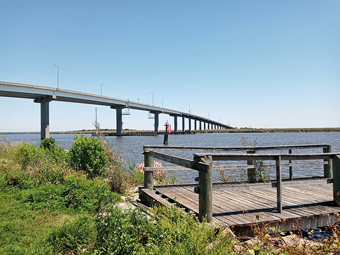 The John Gorrie Memorial Bridge connects more than just land masses&mdash;it's the gateway between everyday life and "why didn't we do this sooner?"