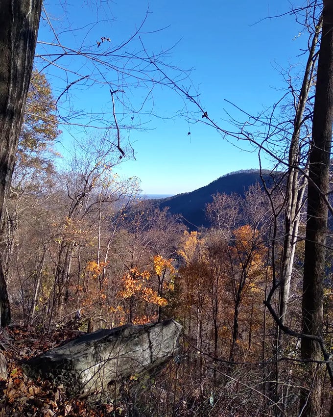 Fall foliage frames a breathtaking mountain vista. That moment when you realize your phone camera will never do justice to what your eyes are seeing.