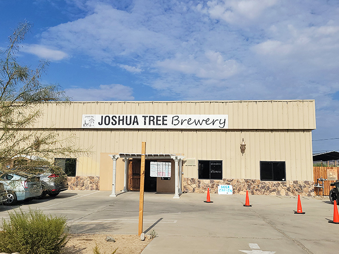 The Joshua Tree Brewery offers liquid relief from desert thirst, where conversations flow as freely as the craft beer.