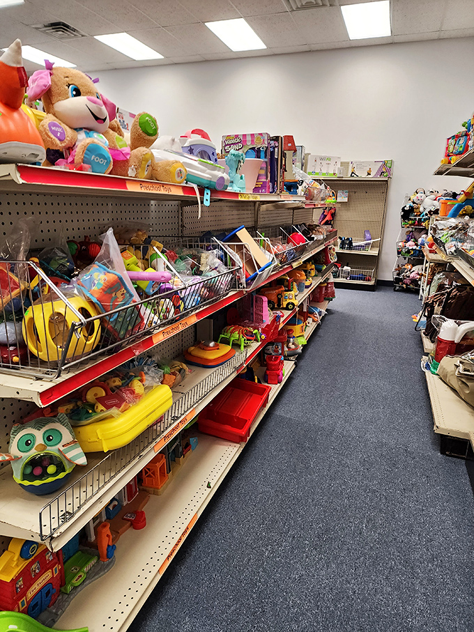 Toy paradise that would make any kid (or nostalgic adult) wide-eyed with wonder. These shelves hold childhood memories past and future adventures waiting to happen.