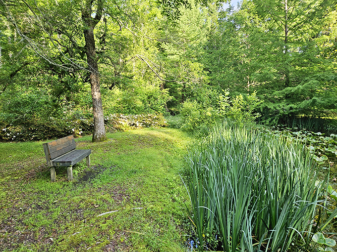 Kirkwood Common provides green space where community happens naturally, a reminder that the best things in life&mdash;like afternoon sunshine&mdash;remain gloriously free.
