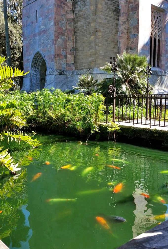 Where architecture meets aquatics: koi fish add living brushstrokes of orange and gold to this serene reflecting pool.