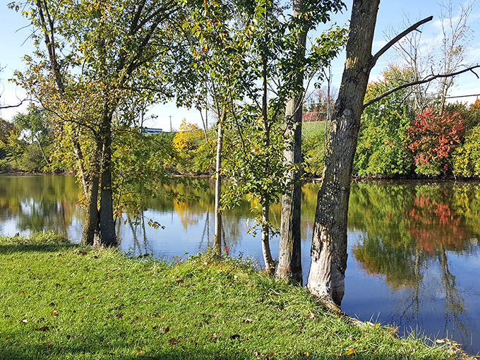 Kyle Park's tranquil waters reflect autumn's palette like nature's own impressionist painting. Serenity now, as a famous sitcom character once demanded.
