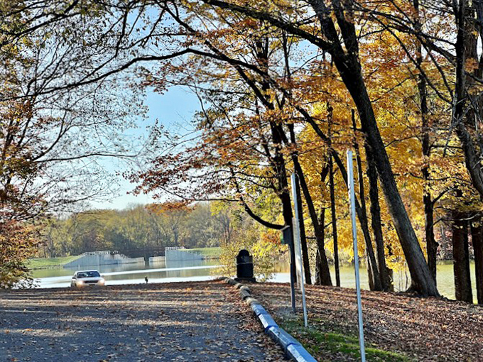 Fall's fashion show is in full swing, with trees dressed in their autumn best. Mother Nature really knows how to coordinate her colors.