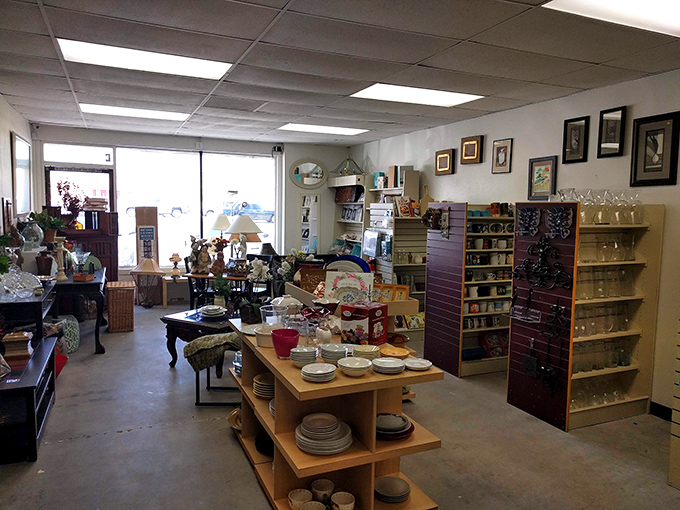 The housewares section gleams with potential, each plate and glass waiting to be rediscovered and given a place of honor in someone's dining room or cabinet collection.