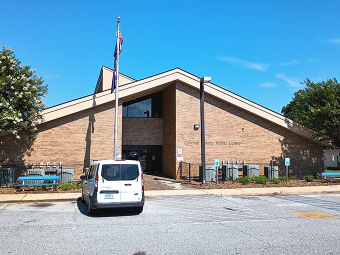 The local library serves as a quiet sanctuary where knowledge meets comfortable chairs and nobody hurries.
