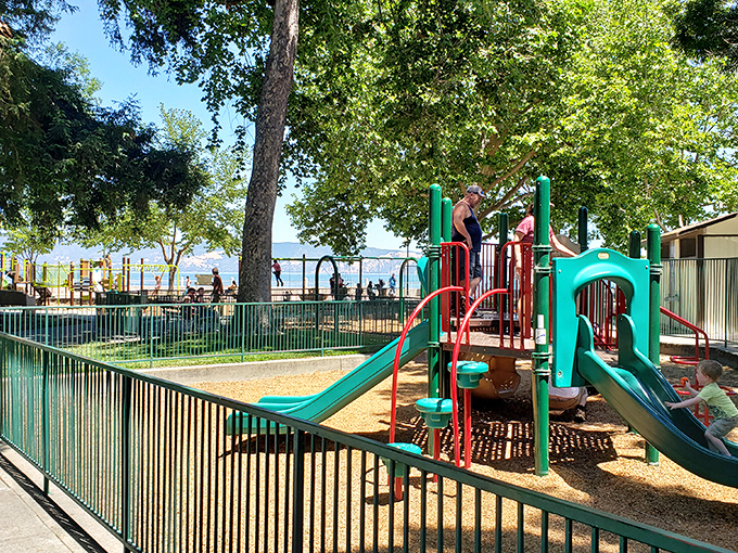 Library Park's playground sits lakeside, offering kids entertainment while adults pretend they're not jealous of those perfect sliding opportunities.