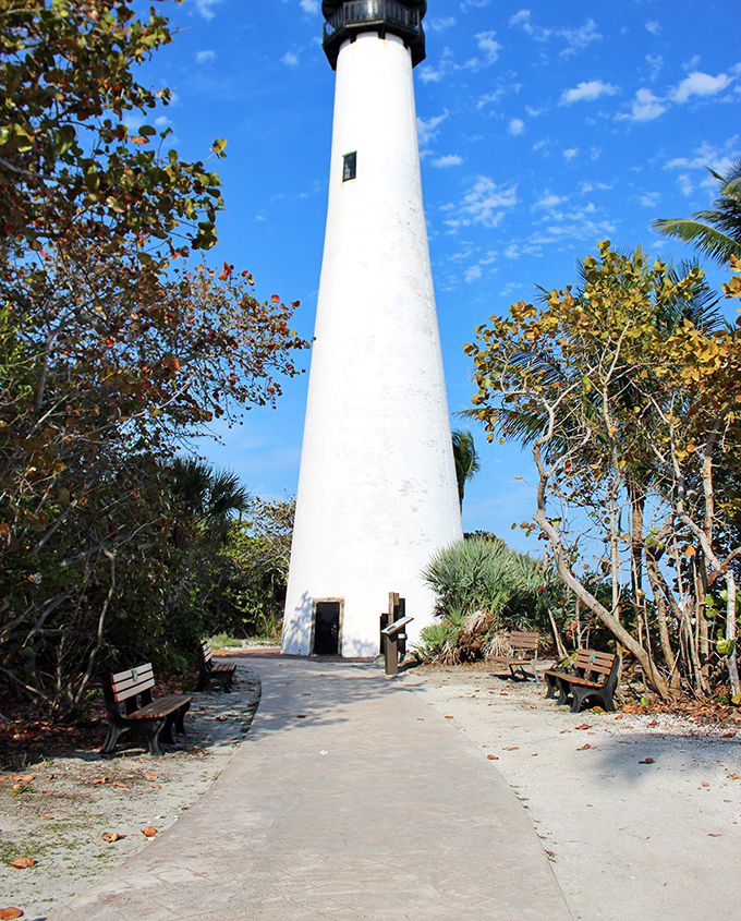 Approaching the lighthouse feels like walking into a postcard&mdash;the brilliant white tower reaching skyward through a canopy of tropical foliage.