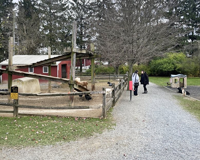 The animal enclosures offer a chance to thank the actual creators of your cheese plate in person.