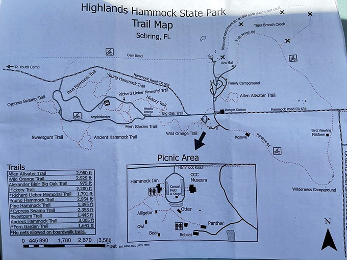 Trail maps revealing secret pathways through Florida's best-kept natural treasure chest.