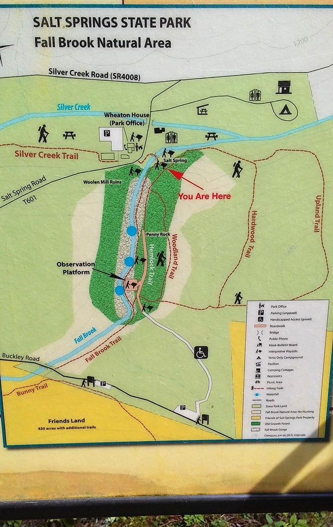 Even the park map looks inviting, promising adventures along Fall Brook Natural Area's trails that your fitness app will happily count as exercise.