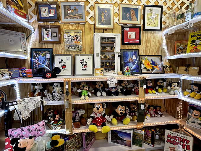 Mickey's kingdom extends far beyond Orlando in this Disney collector's paradise. Walt himself would approve of this magical merchandise menagerie.
