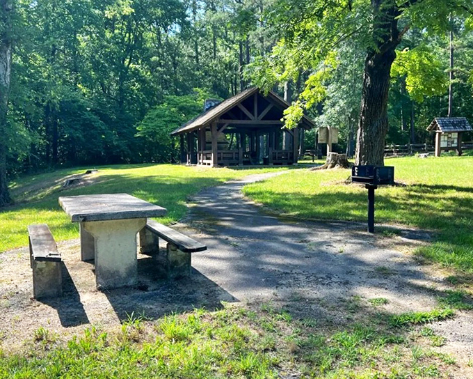 Molly's Rock Picnic Area offers the kind of rustic, peaceful lunch spot that makes fast food drive-thrus seem like a sad compromise.
