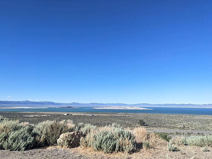From this vista point, Mono Lake stretches toward the horizon, its alkaline waters creating that distinctive blue that no Instagram filter can improve.