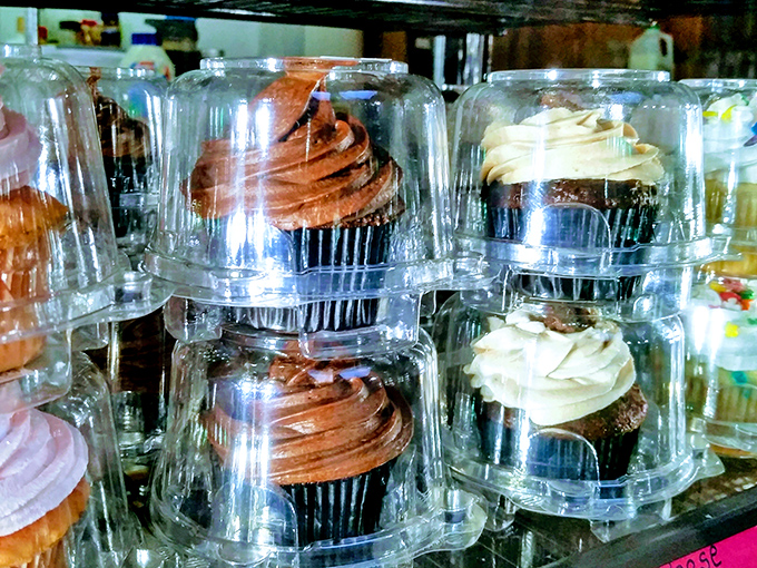 Cupcakes standing at attention under their clear domes, like the dessert version of "The Chosen Ones" waiting for their destiny.