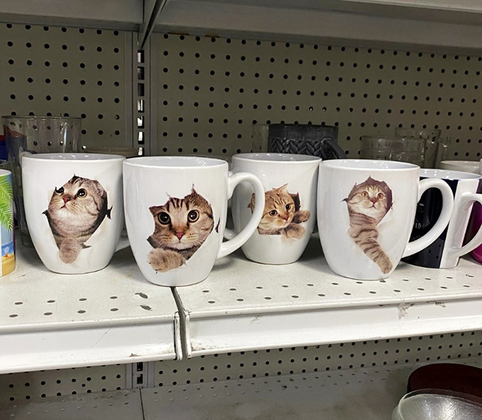 These cat mugs are practically meowing to come home with you. Perfect vessels for morning coffee and conversation starters.