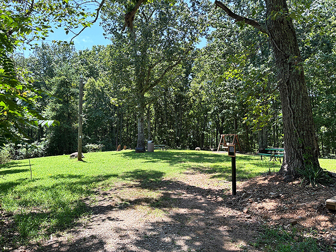 Nanny's Mountain offers that perfect blend of wilderness and accessibility. Nature's playground doesn't need fancy equipment to deliver pure joy.