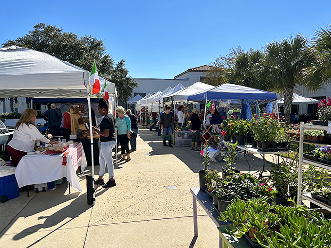 The farmers market brings a splash of community color to Ormond Beach. Where else can you buy fresh flowers while debating which food truck to hit first?