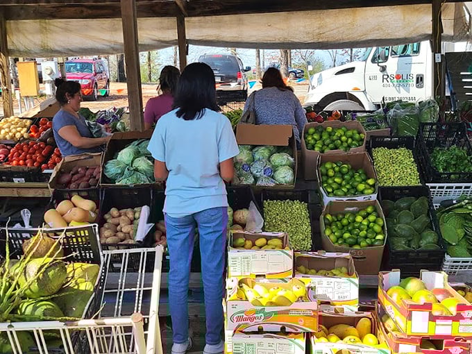 Farm-fresh produce that makes grocery store offerings look like sad, distant relatives. These vibrant fruits and vegetables practically jump into your shopping basket!