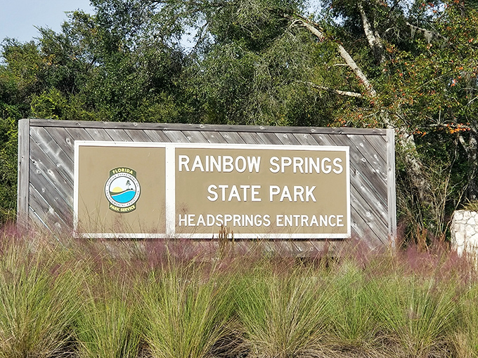 The entrance sign: your portal to a world where "refreshing" isn't just marketing speak but a literal description of the water temperature.